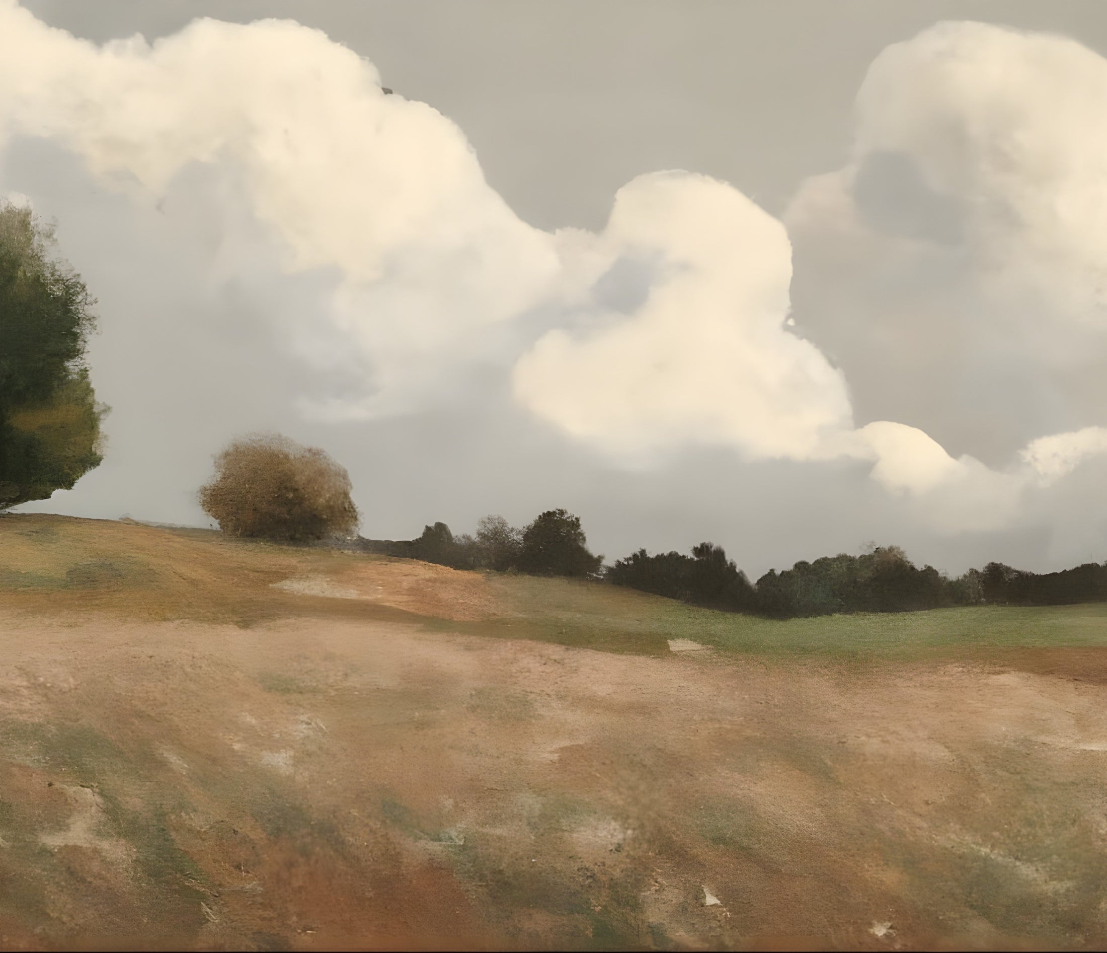 The Meadow - Canvas – Light Your Home